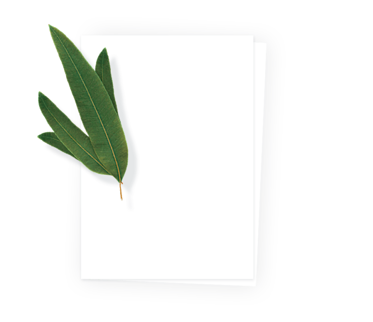 Production and Certifications - Pioneer Paper